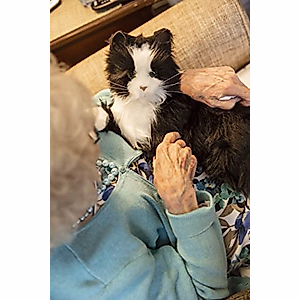 JOY FOR ALL Companion Pet for Seniors - Lifelike Animatronic Cat - Realistic Soft-Touch Fur & Purring - Therapy Stuffed Animal - Toy for Alzheimer's & Dementia - Tuxedo