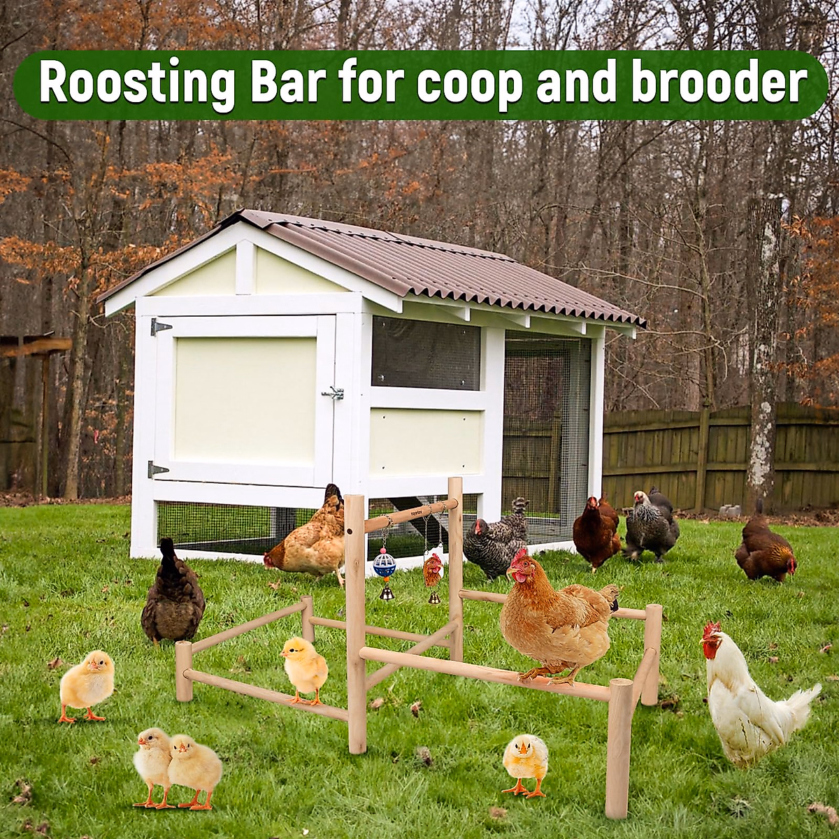 Chicken Perch Strong Pine Wooden Chick Jungle Gym Roosting Bar, Large ChickTraining Perch Toys for Baby Chicks, Chick Perch for Coop and Brooder for Large Bird, Chicks, Parrot