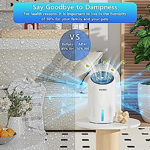 Dehumidifiers for Home, Makayla Dehumidifier 30 OZ(860ml),2200 Cubic Feet Small Dehumidifier with Auto Shut Off and 7 Colors Lights,Ultra Quiet for Home,Wardrobe,Closet,Bathroom,Bedroom,Trailer,RV