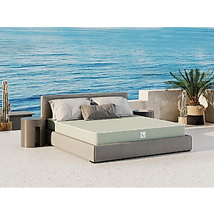 Mielmoon Waterproof Foam Mattress Vinyl Multipurpose Medium Firm Plush, Double Sided Made in USA,Mattress in a Box for Pain Relief (9 Inch, King (U.S. Standard))