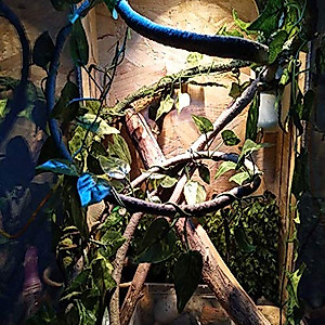 kathson Bearded Dragon Hammock Reptile Plant Hanging Terrarium Boston Plant Jungle Climber Vines Flexible Leaves Lizards Habitat Decor Accessories Coconut Hide for Chameleon Gecko Snakes 5PCS