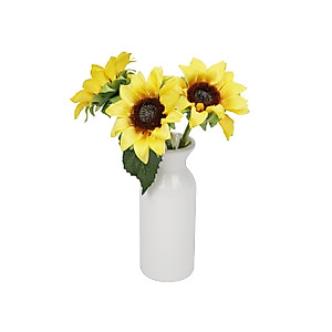 Mind Reader Decorative Canister Set, Rustic Tabletop Decorations, Triple Vase Display Arrangement, Faux Floral Holders, Varying Sizes, Farmhouse Style, Pack of 3, Ceramic, White