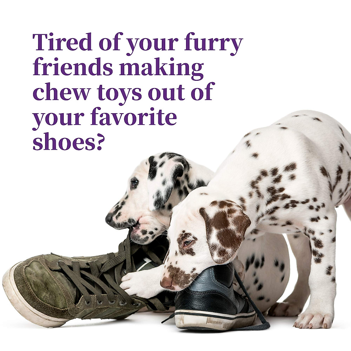 Harbor's Bitter No Chew Spray | 3 X Strength Chewing Deterrent Spray | Anti Chew Behavior Training Aid | Stops Destructive Chewing and Licking of Shoes, Bandages, Paws, Fur & Furniture | Made in USA