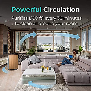 Alen BreatheSmart Classic H13 HEPA Air Purifier, Air Purifiers For Home Large Room w/ 1100 SqFt Coverage, Medical-Grade Air Cleaner for Allergens & Dust, up to 12 Mos. Filter Life, Brushed Stainless