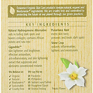 Eminence Bright Skin Overnight Correcting Cream, Multi, Reg, 2 Ounce