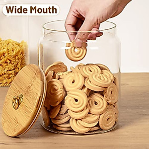 Totexil Large Glass Jars, 1 Gallon Thicken Glass Food Storage Jars with Bamboo Lids, Airtight Glass Canisters with Mental Handle, Kitchen Storage Containers for Coffee Beans, Cookie, Flour, Rice, Nuts