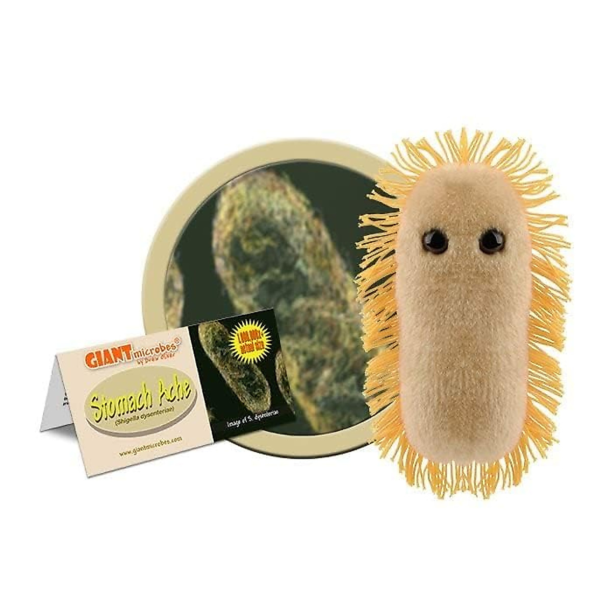 GIANTmicrobes Stomach Ache Plush - Learn About Microbes and Health, Fun Educational Gift for Family, Friends, Doctors, Nurses, Educators and Anyone with a Healthy Sense of Humor