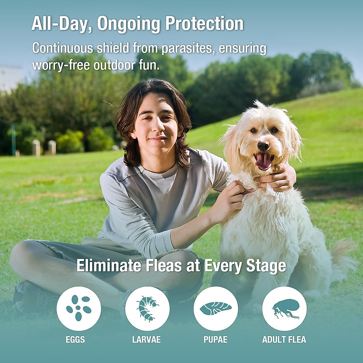 ZingZap Flea & Tick Collar 2-Pack Gray, Protects from Biting Insects, Adjustable Fits Both Dogs & Cats, Built-in Plant Based Formula, Slow Release Lasting Protection, Waterproof