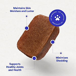 WONDER PAWS Premium Multivitamin for Dogs Daily Multi for Immune, Mood, Joint, Skin, Heart & Digestive Health - 21 in 1 Dog Multivitamins for Optimal Health Essential - 60 Multivitamin Dog Chews