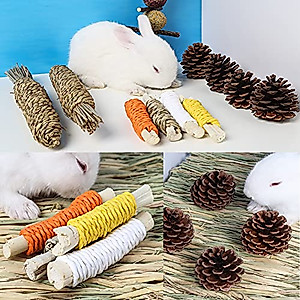 Bunny Chew Toys for Teeth, Rabbit Molar Toys, Natural Timothy Grass, Flowers, Seagrass, Sweet Bamboo Small Animal Chew Toys for Rabbits Chinchilla Hamsters Guinea Pigs Gerbils Groundhog Squirrels