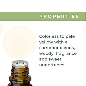 xencare Peppermint USDA Organic Food Grade Essential Oil | 100% Pure Natural Undiluted | Edible & Safe to Ingest & for Skin | Premium Aromatherapy for Diffusers Baths & Topical Use (0.33 fl oz, 10ml)