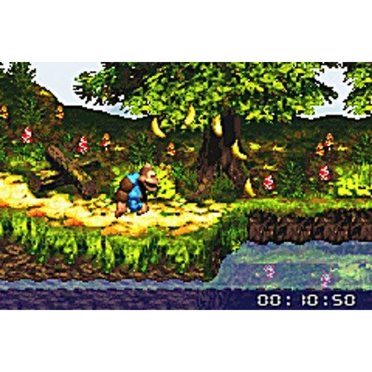 Donkey Kong Country 3 (Renewed)