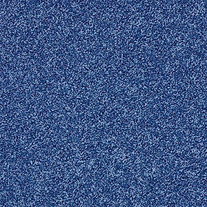 KOECKRITZ Soft and Colorful Kids Classroom Area Rugs (Passes Flammability Pill Test) Many Sizes and Bright Colors to Select from (7' x 9', Royal)