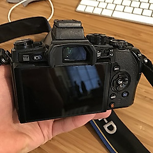 Olympus OM-D E-M1 Mirrorless Camera with Olympus M. Zuiko Digital ED 12-40mm f/2.8 PRO Lens