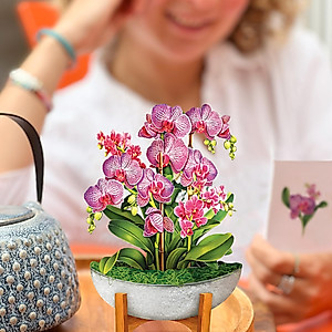 Freshcut Paper Pop Up Cards, 6 Inch Mini Sized Forever Flower Bouquet 3D Popup Greeting Cards, Birthday Gift Cards, Birthday Gifts with Note Card and Envelope, Mini Orchid Oasis