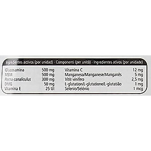 Exo Terra Light Dome, Aluminum UV Reflector Lamp for Reptile Terrariums, 5.5 Inches