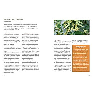 Northeast Foraging: 120 Wild and Flavorful Edibles from Beach Plums to Wineberries (Regional Foraging Series)