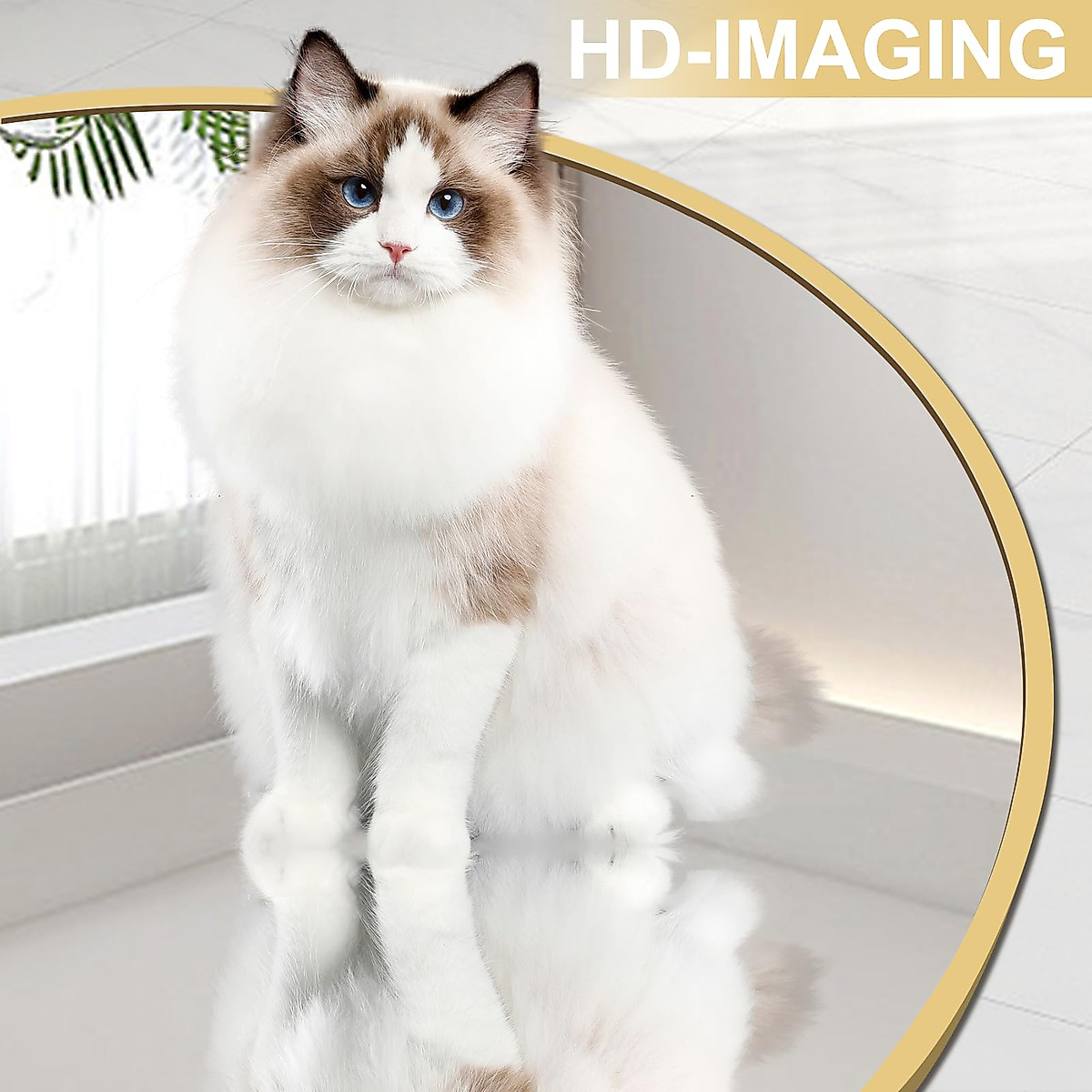 64"x21" Arched Full Length Mirror Gold Floor Mirror with Stand, Aluminium Metal Frame for Wall Mounted Full Body Mirror Leaning Body Mirror Hanging Wall Mirror for Bedroom Living Room Dressing Mirror