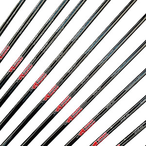 Linkboy Archery Carbon Arrow Hunting Practice Target Arrow with Removable Tip for Compound Recurve Bows, Spine 340,29inch Pack of 12PCS