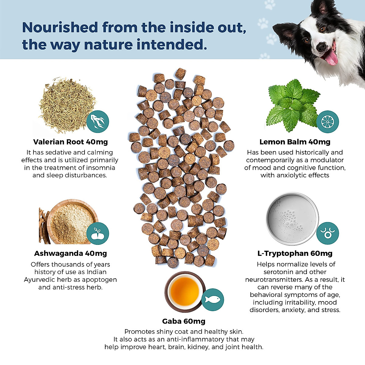 Petscy - Calming Chews for Dogs, Natural Dog Calming Chews with GABA and Lemon Balm for Stress & Anxiety Relief, Bite Sized Dog Anxiety Chews, Calming Dog Treats, 120g