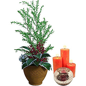 Amber Home Goods Champagne Collection Etched Glass Diamond Shaped Votive, Large Handmade Glass Votive Candle Holders for Weddings and Home Decor (Set of 3) Medium