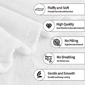 DALEM Soft Fleece Throw Blanket - Fluffy Microfiber Solid Blankets for Bed and Couch Double/Single Size - 59X79Inch Wooden Door Printed Flannel Blanket for Bed, Couch and Sofa