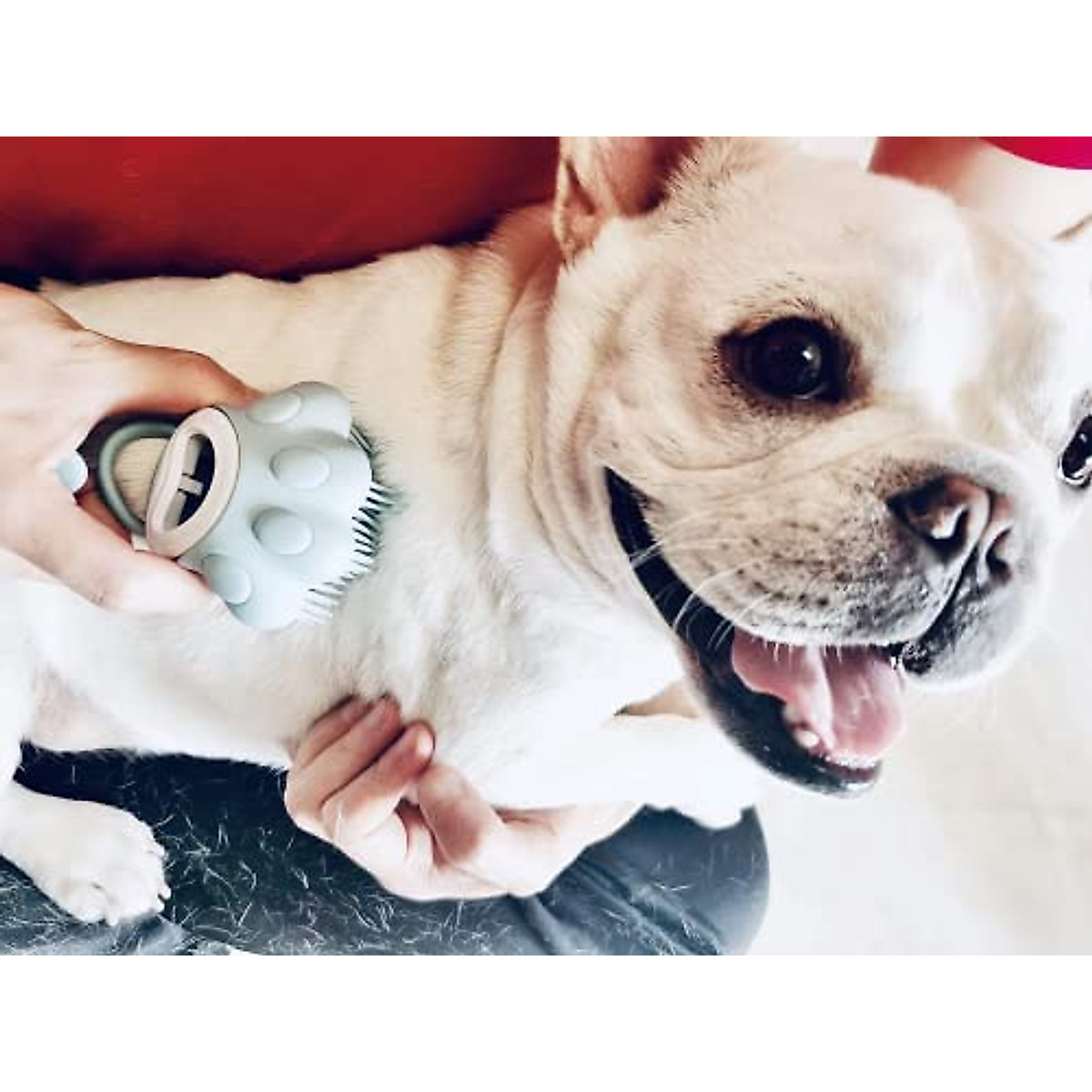 Ctpeng Dog Bath Brush,Soft Pet Shampoo Brush,Cat Massage Brush for Massaging Washing＆Bathing(Blue)