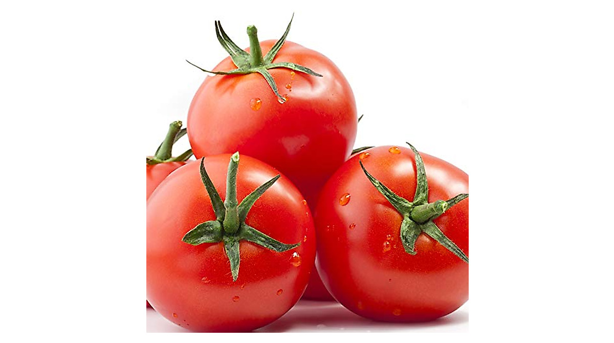 Jobe's Tomato Fertilizer Spikes - Easy Root Feeding for Robust Plants