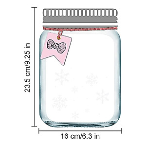 Enkrio 20 Pcs Mason Jar Bags Cute Jar Zipper Bag Reusable Food Storage Bags Snack Bags Sandwich Bags Mason Jar Bottles Bag Leak-Proof Airtight Sealed Storage Bags for Kitchen Travel Camping