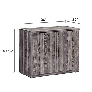 Mayline MSCLGS Medina 2-Door Storage Cabinet, 36"W, Gray Steel Laminate