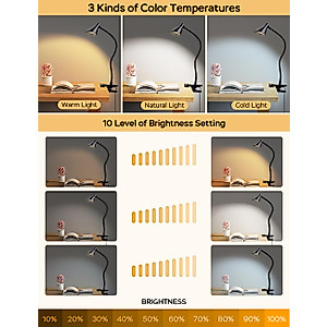 LiFMIRA Clip on Light USB Reading Light 3 Color Modes 10 Brightness Levels Eye Care Clamp Light Flexible Gooseneck Dimmable Reading Lamp Clip on Lamp for Bed Headboard Desk Bedside Dorm (Black)