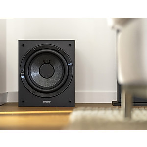 Sony SACS9 10-Inch Active Subwoofer,Black