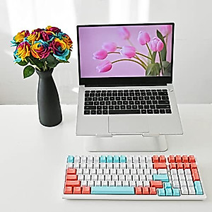 Mandy's 10pcs Rainbow Flowers Artificial Silk Rose Flowers for Mother's Day Home Decoration Bridal Wedding Bouquet and Parties