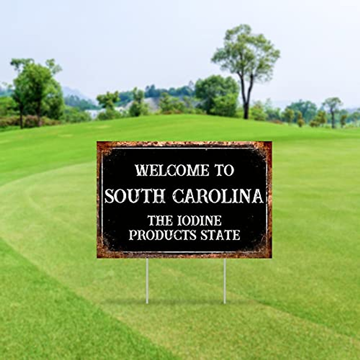 Augwed Welcome to South Carolina The Iodine Products State Yard Signs South Carolina State Yard Sign with Stake 12x18in Weatherproof Yard Signs Garden Party Supplies Lawn Outdoor Decor