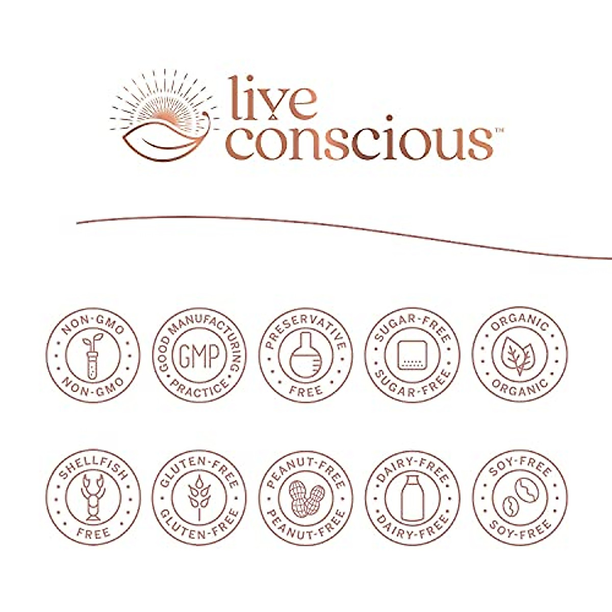 Live Conscious Organic Pea Protein Powder - Cosmic Cacao Chocolate Flavor | Low-carb Plant-Based Vegan Protein Blend - Pea, Brown Rice, Pumpkin, Sacha Inchi | 20 Servings, 17 oz