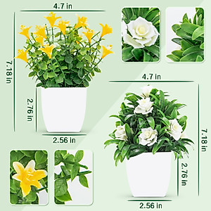 Der Rose 2 Pack Fake Plants Mini Artificial Faux Plants with Flowers for Home Office Table Room Farmhouse Decor Indoor