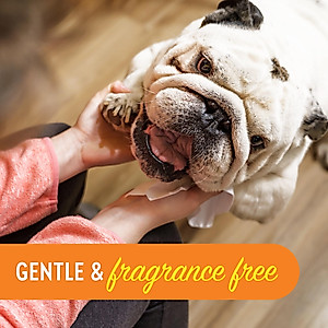 Dogtopia Cleansing Facial Wipes for Pets | Convenient Face Cleaning Wipes (60 Count) for Dogs and Cats | Hypoallergenic, Fragrance-Free, Remove Eye Discharge and Tear Stains