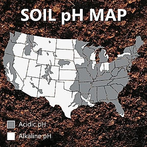 Jonathan Green (11353) Mag-I-Cal Soil Food for Lawns in Acidic Soil - Soil Amendment for Grass (5,000 Sq. Ft.)