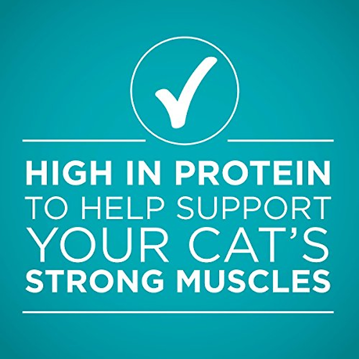 Purina ONE Natural High Protein Cat Food, True Instinct Chicken Recipe in Gravy - (24) 3 oz. Pull-Top Cans