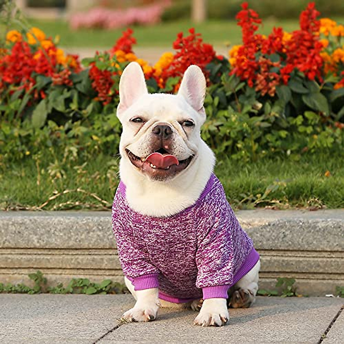 Dog Sweater Classic Dog Sweaters for Small Medium Dogs Warm and Soft Small Dog Sweater Puppy Sweaters for Small Dogs Winter Pet Dog Cat Sweater Clothes for Girls or Boys