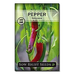 Sow Right Seeds - Serrano Hot Pepper Seed for Planting - Non-GMO Heirloom Packet Instructions to Plant an Outdoor Home Vegetable Garden - Productive and Hot Chili Peppers - Hydroponics Growing(1)
