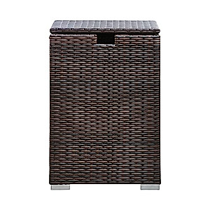 Teamson Home Outdoor Fire Pit Gas Bottle Tank Cover, Fire Pit Gas Storage Holder, Rattan Storage Holder Table with Lid, Garden Rattan Furniture