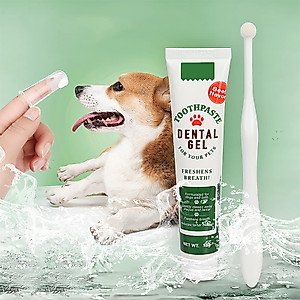 Pet Dog Tooth Brushing Kit - Dog Finger Toothbrush, 360° Toothbrush & Beef Flavor Toothpaste for Dogs Puppy Cats Teeth Oral Cleaning, Fresh Breath, Reduces Plaque & Tartar Buildup Dental Care Kit
