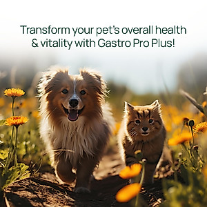 pawTree Gastro Pro Plus for Dogs and Cats - Probiotics, Prebiotics and Digestive Enzymes - for Sensitive Stomach, Digestive Issues, Loose Stool, and Bad Gas (30 ct)