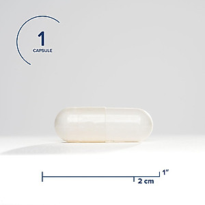 NAC | 500 mg N-Acetyl-L-Cysteine | Powerful Detoxifying Action| 90 Easy-To-Swallow Capsules | Free of Common Allergens | Seeking Health