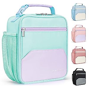 DANIA & DEAN Lunch Bags, Cute Insulated & Reusable Mini Cooler Lunch Tote, Durable Thermal Lunchbox for Children/Students/Boys/Girls/Women/Men, School Picnic Travel Outdoor（Mint Green & Purple）