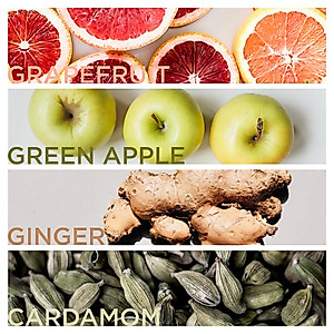 English Laundry Crown 3 Piece Eau de Parfum Gift Set