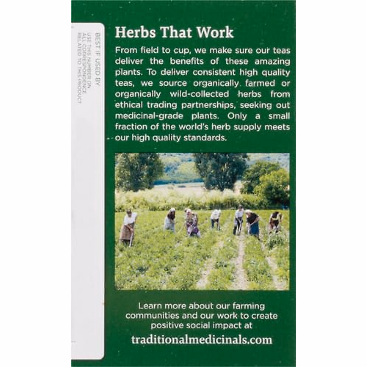 Traditional Medicinals Organic Lemon Balm Herbal Tea, Calming and Supports Digestion, (Pack of 1) - 16 Tea Bags
