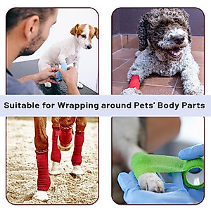 Mr. Pen- Self Adhesive Bandage Wrap, Assorted Colors, 2" x 5 Yards, 6 Pack, Elastic, Self Stick, Stretch, Self Adherent, Medical Bandage Wrap