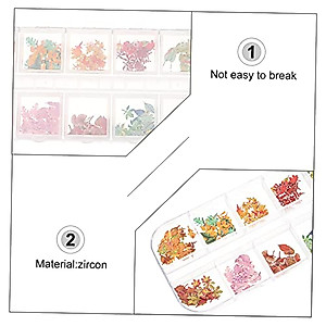 FOMIYES 1 Set Nail Art Accessories Thanksgiving Costume Leaf Nail Glitter Thanksgiving Nail Decoration Christmas Decor Nail Art Decoration Manicure Charms Flake Nail Flower Flake Wood Pulp